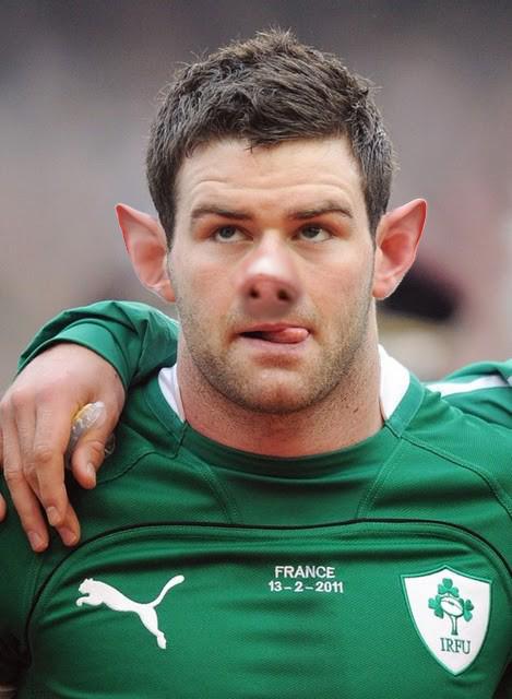 Rugby Pig - Advanced Photo View Page - TF Spot